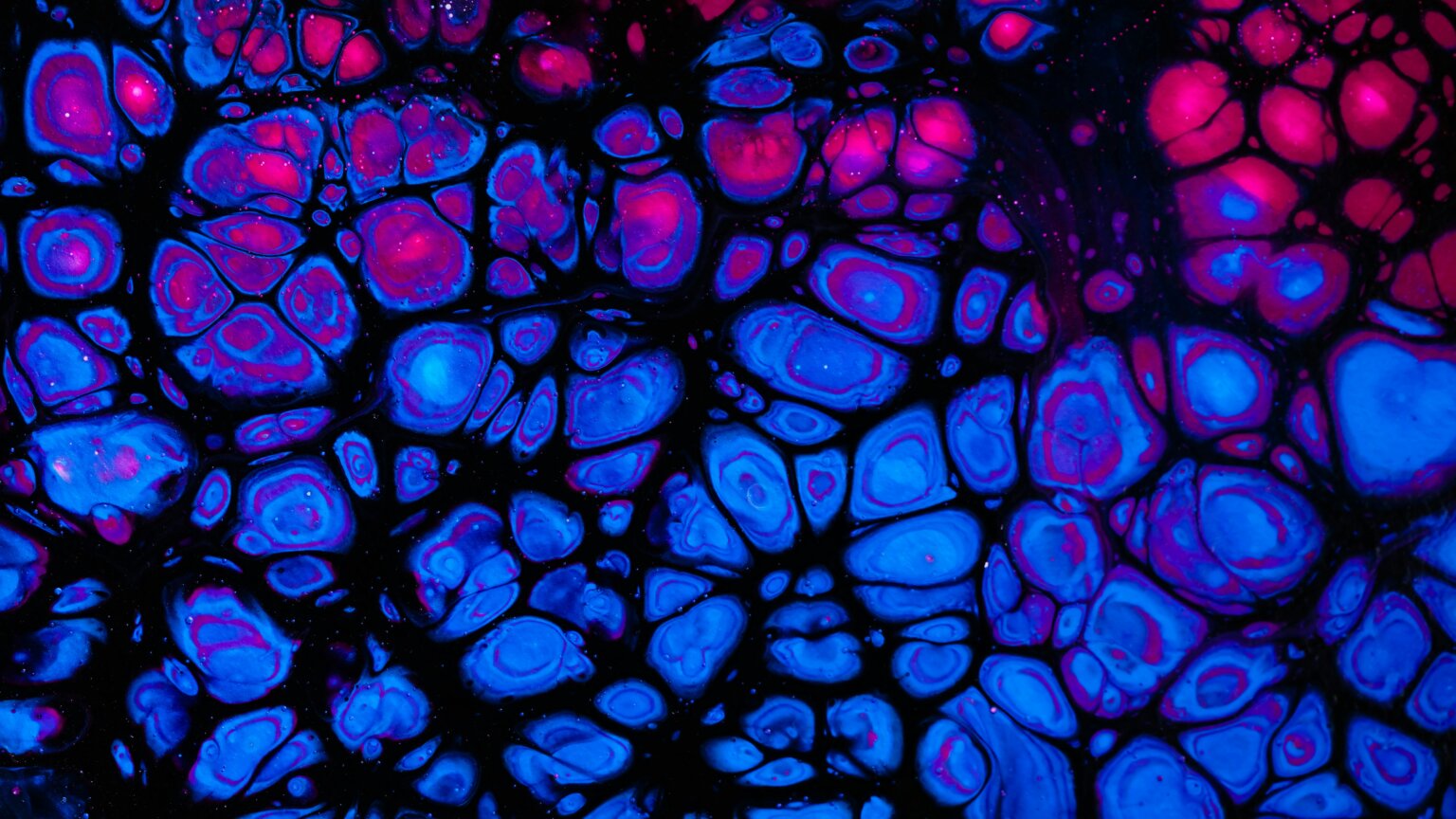 CD19標的CAR-T細胞liso-celが再発・難治性の大細胞型B細胞リンパ腫の2次治療として承認 | 国際幹細胞普及機構