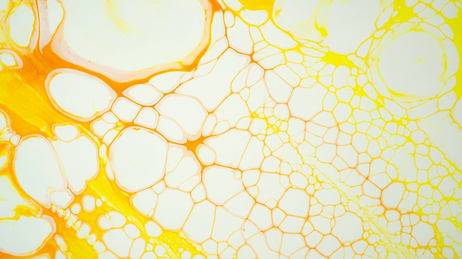 CD19標的CAR-T細胞liso-celが再発・難治性の大細胞型B細胞リンパ腫の2次治療として承認 | 国際幹細胞普及機構