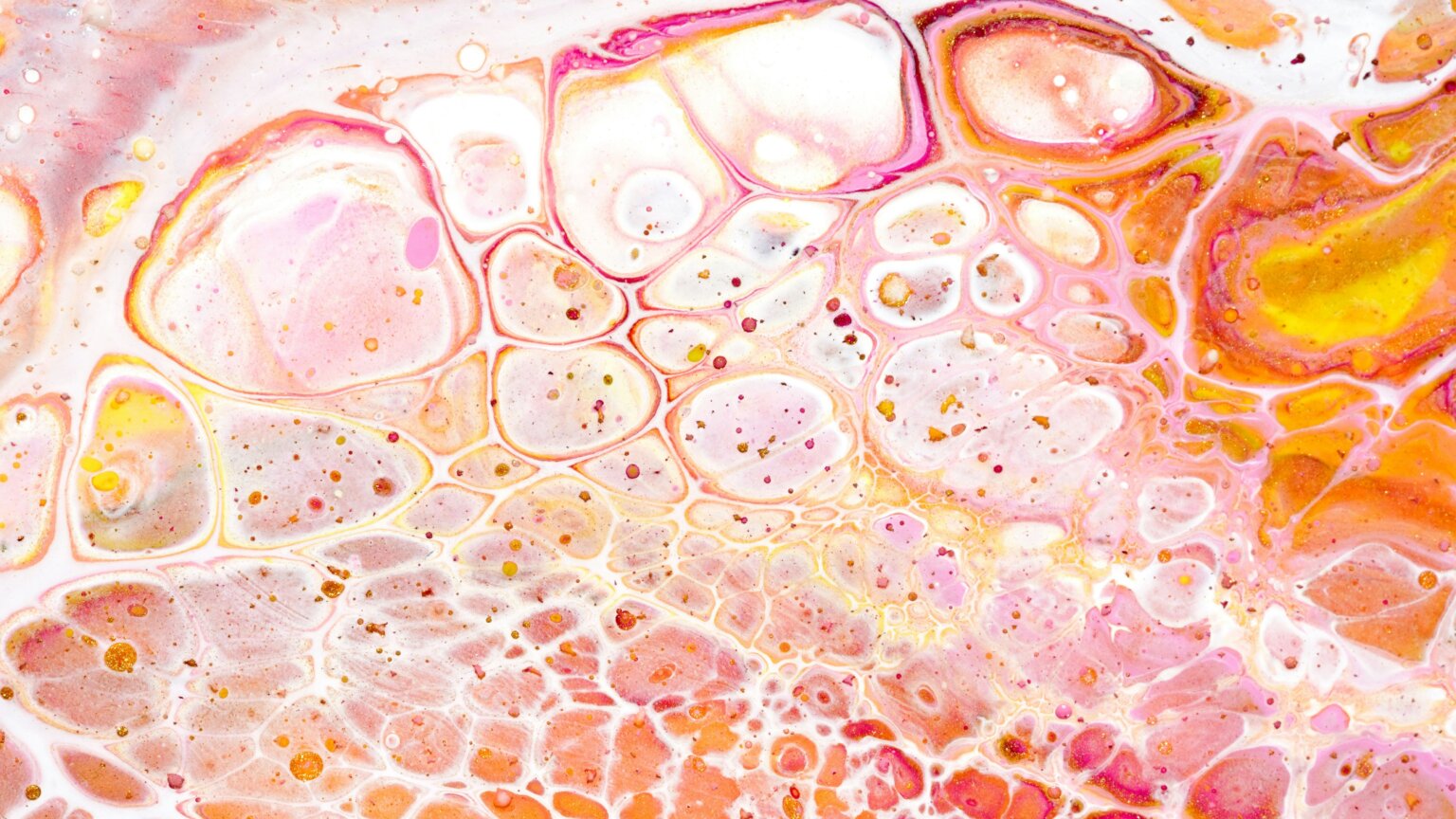 CD19標的CAR-T細胞liso-celが再発・難治性の大細胞型B細胞リンパ腫の2次治療として承認 | 国際幹細胞普及機構