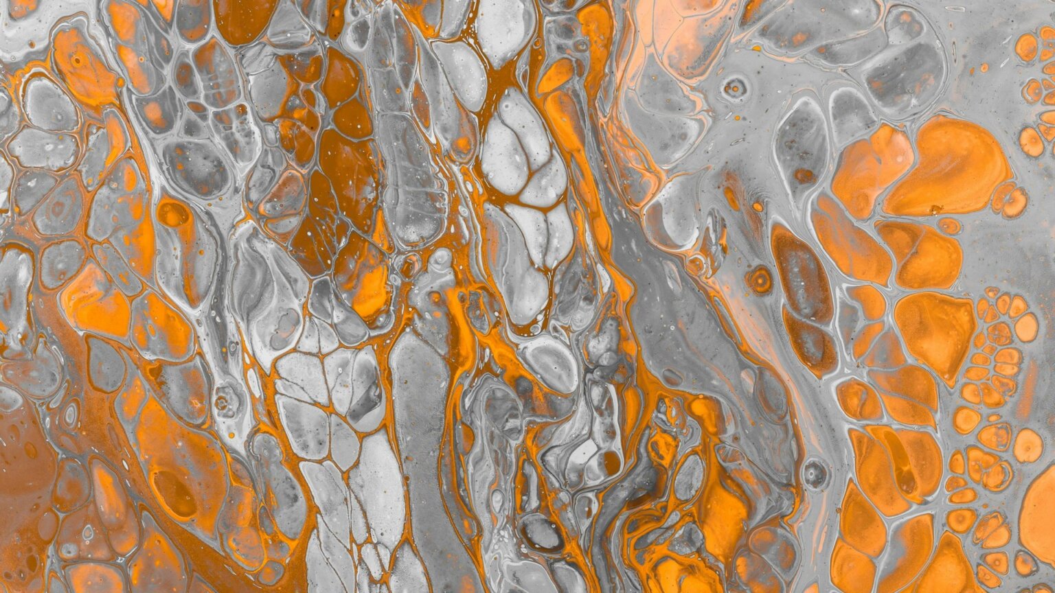 CD19標的CAR-T細胞liso-celが再発・難治性の大細胞型B細胞リンパ腫の2次治療として承認 | 国際幹細胞普及機構